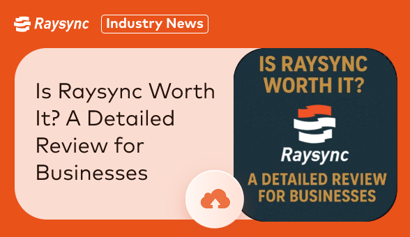 Is Raysync Worth It? A Detailed Review for Businesses